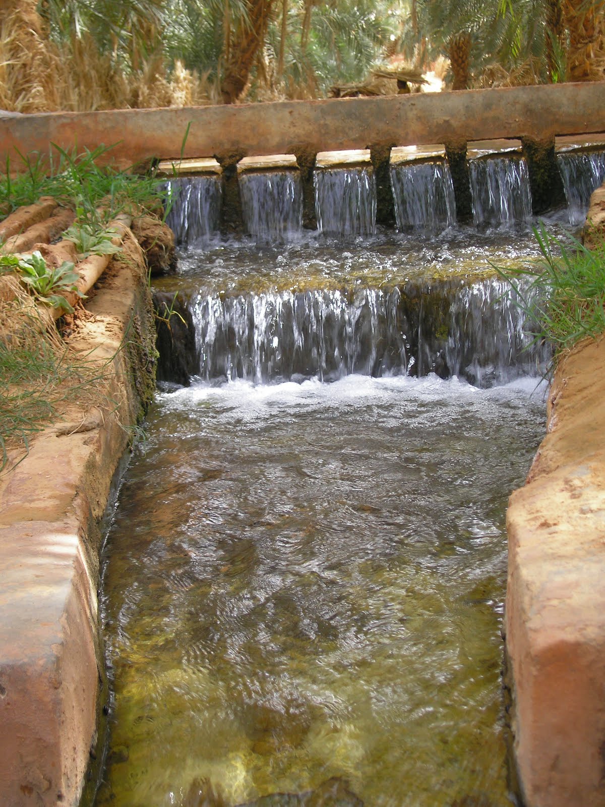 Afro-Asiatica: An Odyssey in Black: FROM PROTO-BERBERS TO MOORS:NILO ...