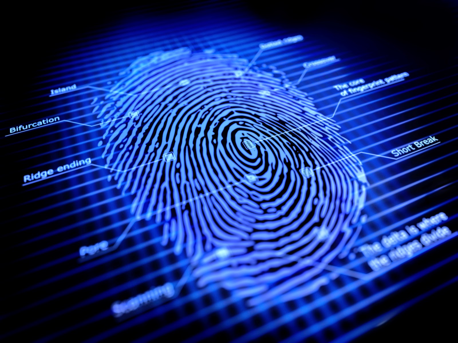 RECONOCIMIENTO E IDENTIFICACION: DACTILOSCOPIA: ANATOMIA DACTILAR