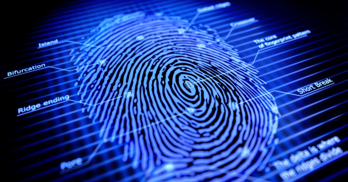 RECONOCIMIENTO E IDENTIFICACION: DACTILOSCOPIA: ANATOMIA DACTILAR