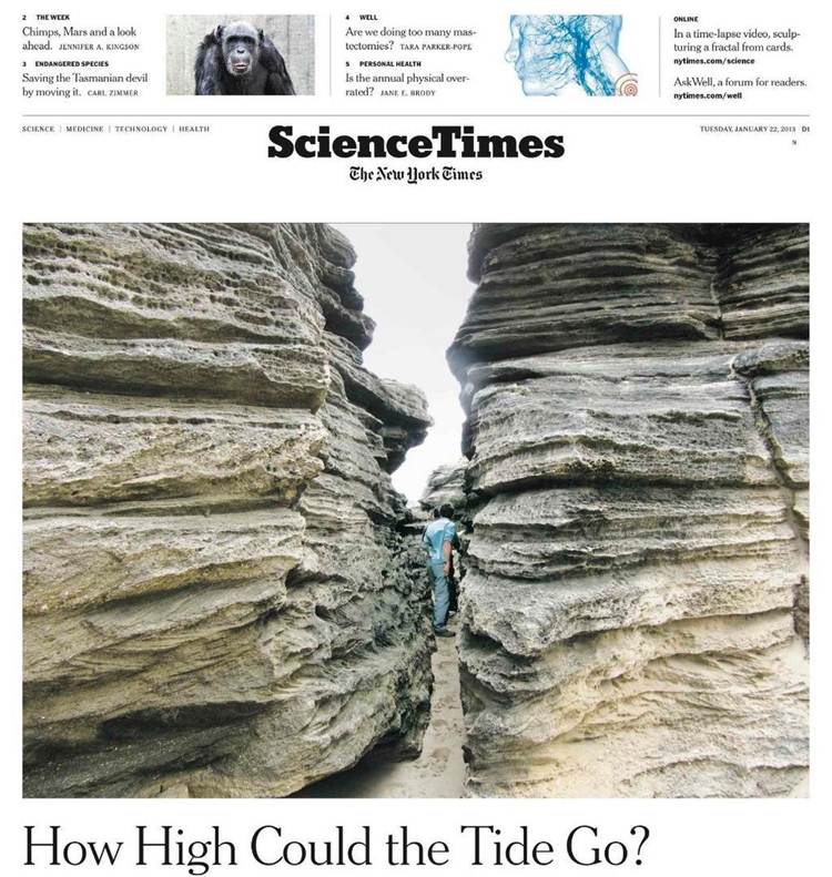 Journalism or Bust!: Et Tu, Gray Lady?