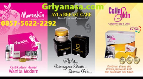 Daftar Harga Produk Kecantikan NASA Terbaru 2017