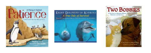 Randomly Reading: 10 Years After Hurricane Katrina: Four New Books