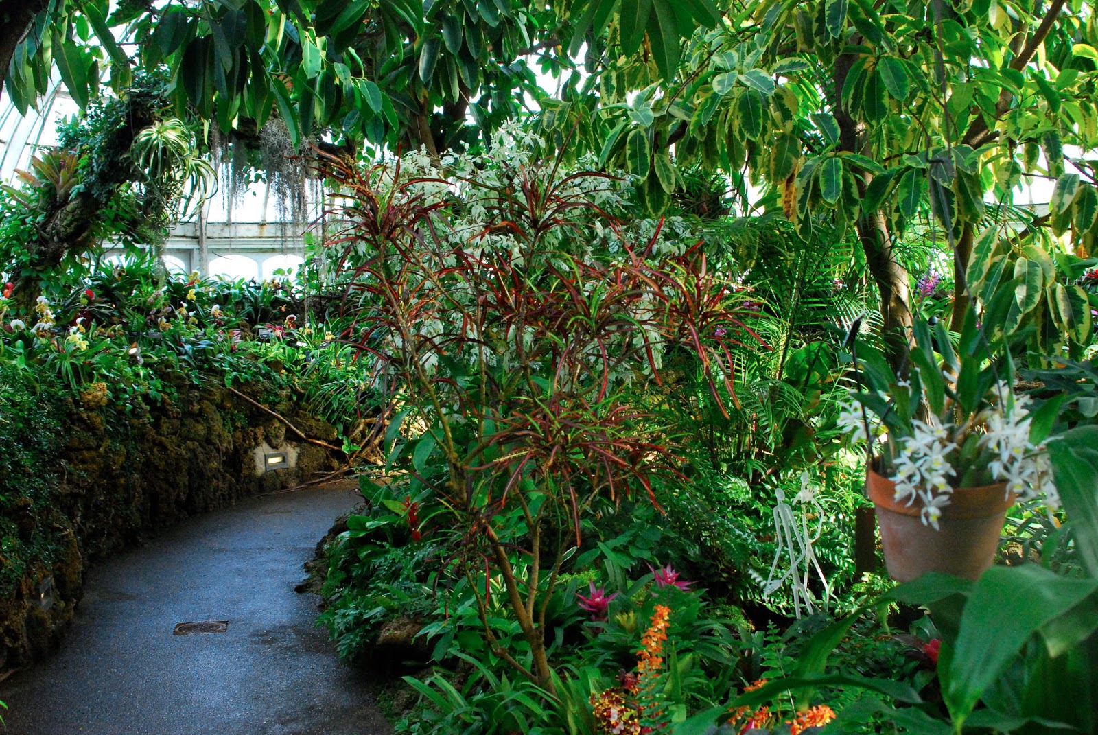Phipps Conservatory Orchid Room