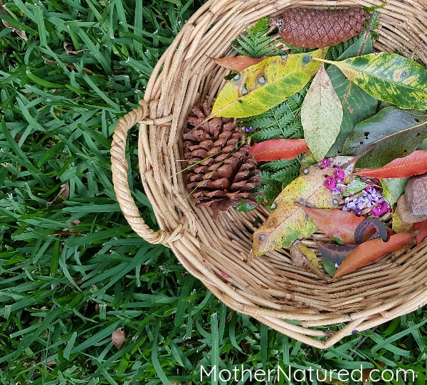 The Educational Advantages of Crafting With Nature - Teacher Types