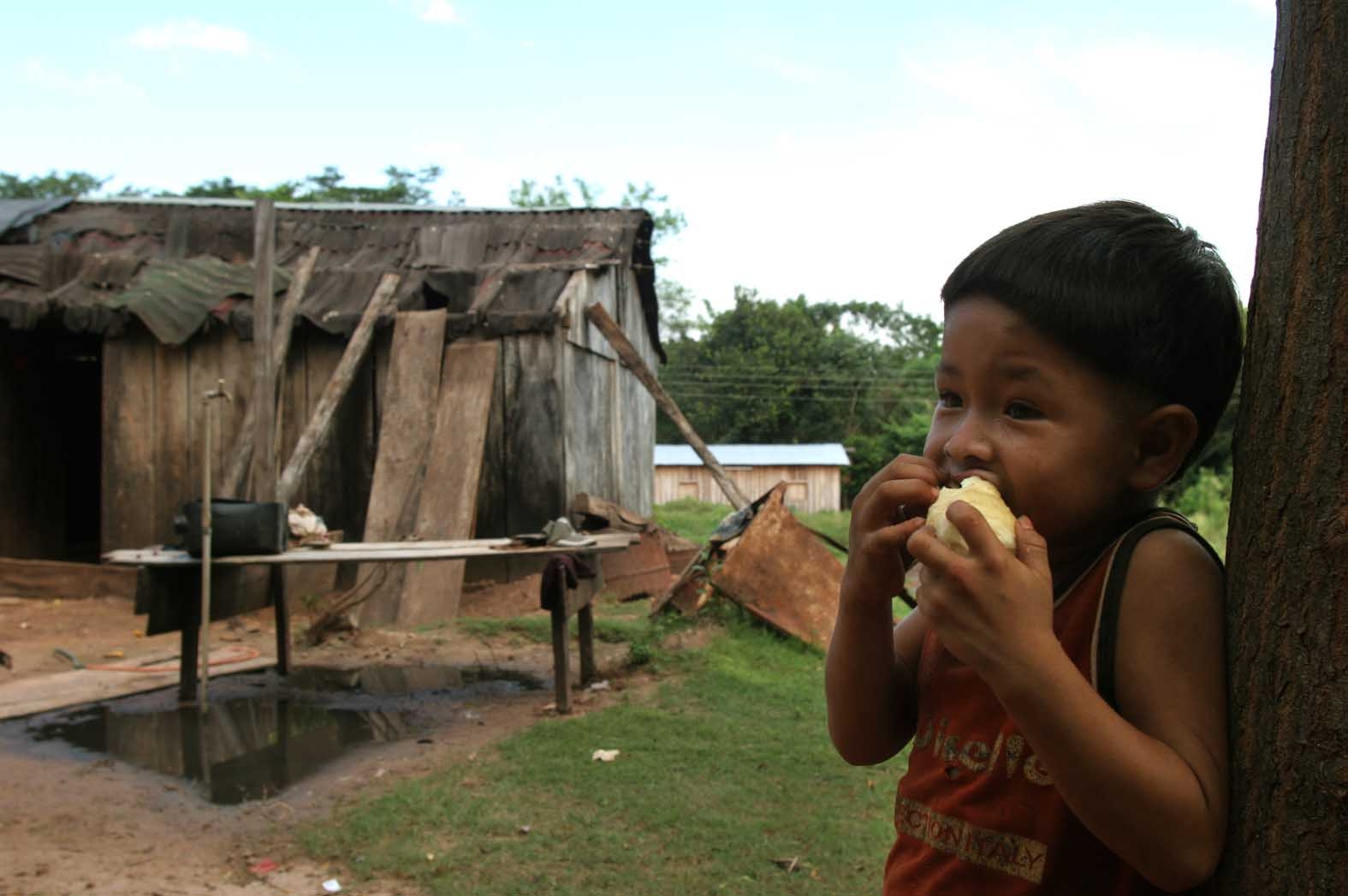 .razón y sentido: Aché Guayakí de Chupa pou