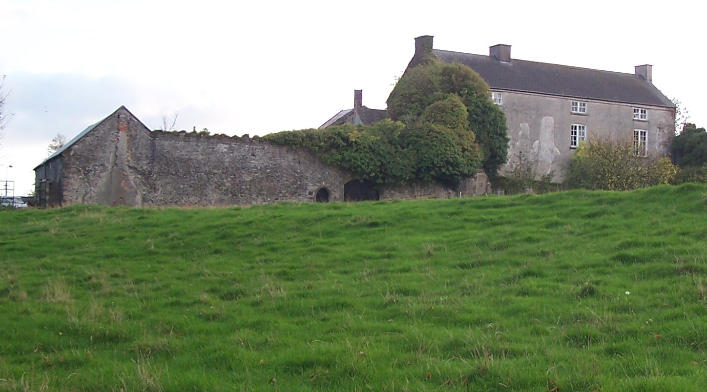 Travels with Books: Irish history in the details — Sheep and bawns and ...