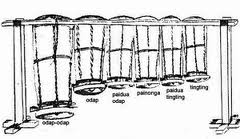 TAGANING (baca Tagading) | tagading
