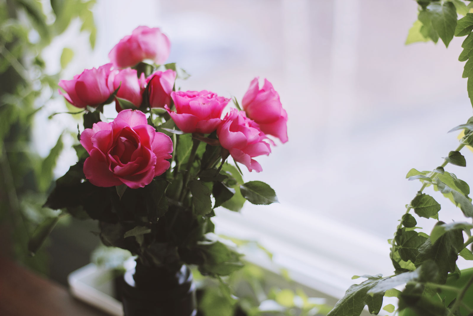 не забудь не забыть: toukokuu & vaaleanpunaiset ruusut