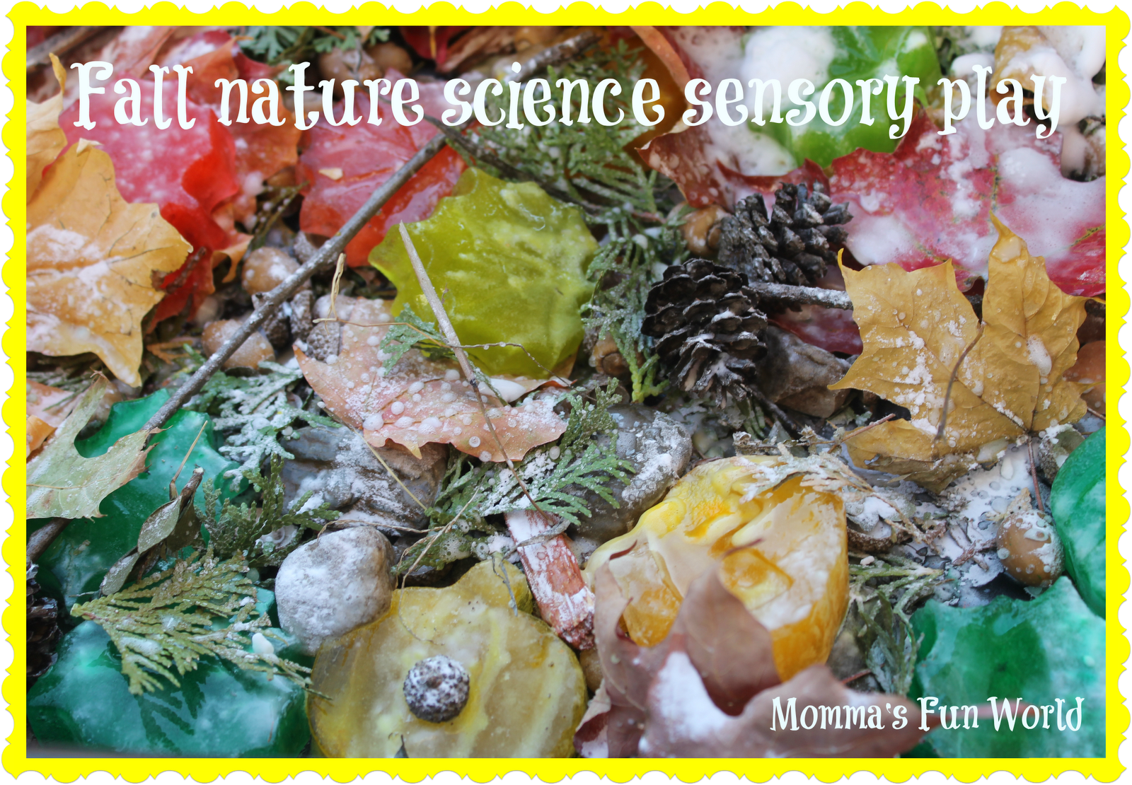 Momma's Fun World: Exploring Science sensory bin with nature