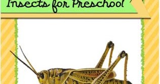 God Makes the Insects | Bible Fun For Kids
