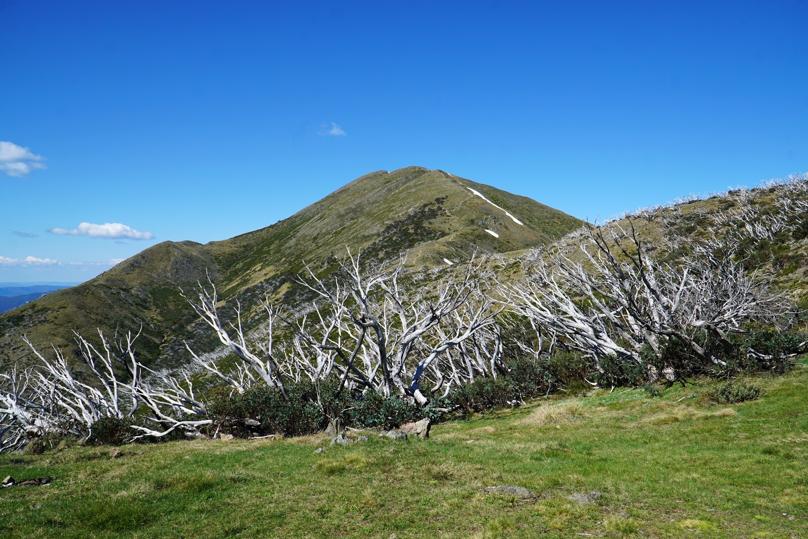 Mt Feathertop via the Razorback (Alpine NP) ~ The Long Way's Better
