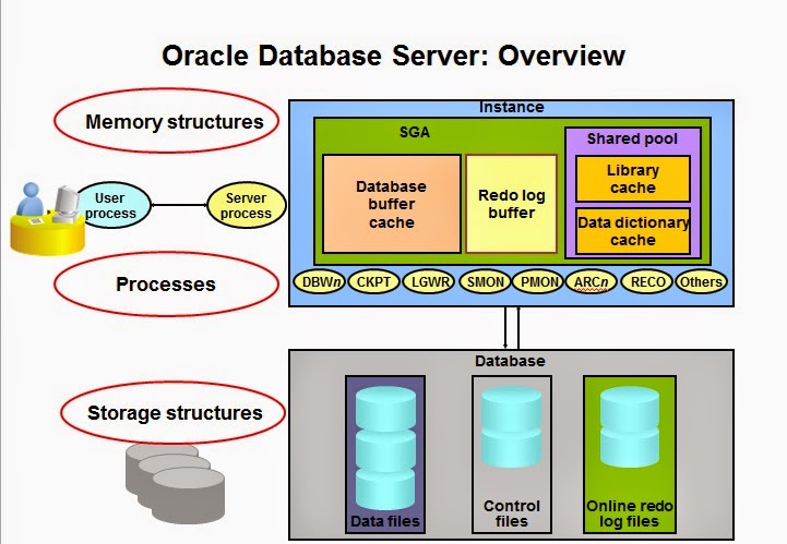 Học từ đầu Oracle Database : Bài 1. KIẾN TRÚC ORACLE DATABASE