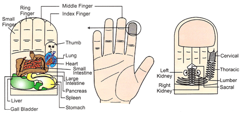 PABLOHEILPRAXIS: SU JOK