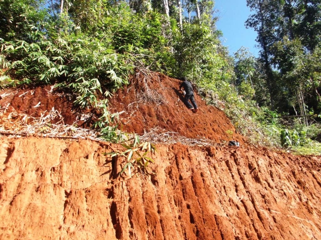 Mengenal Sekilas Tentang Nikel Laterite – JenggotJingkrak Blog's