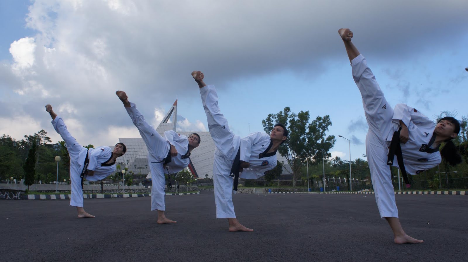 Pukulan, Tendangan, dan Tangkisan | Taekwondo