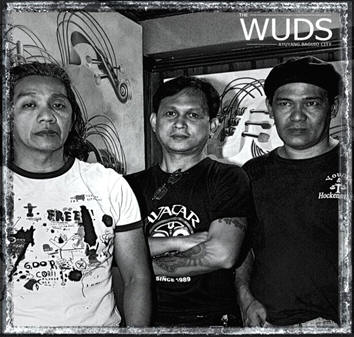 iaadamlim: The Wuds: 28th Anniversary Celebration in Concert At the Park