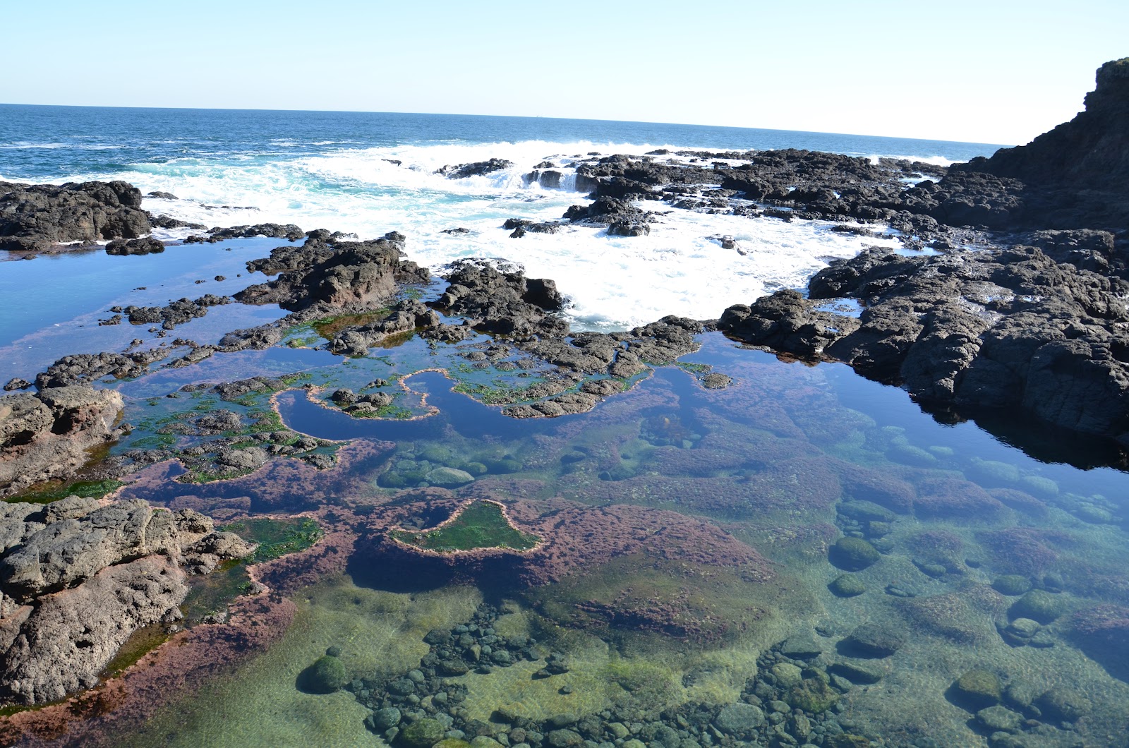 Bull Trekkings: Fast Tides at Cape Shanck