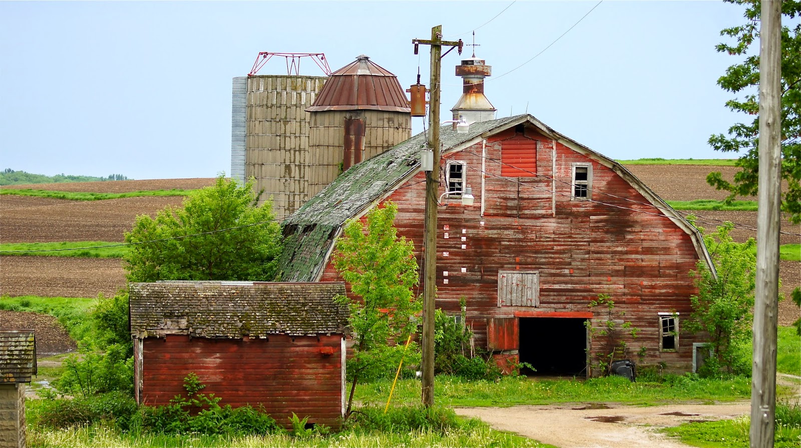 Who will make me laugh: Just Barns