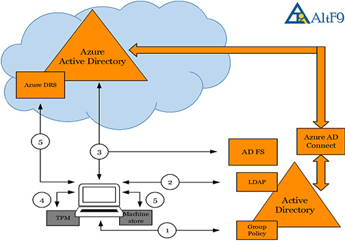 How does AD DS differ from Microsoft Azure Active Directory?