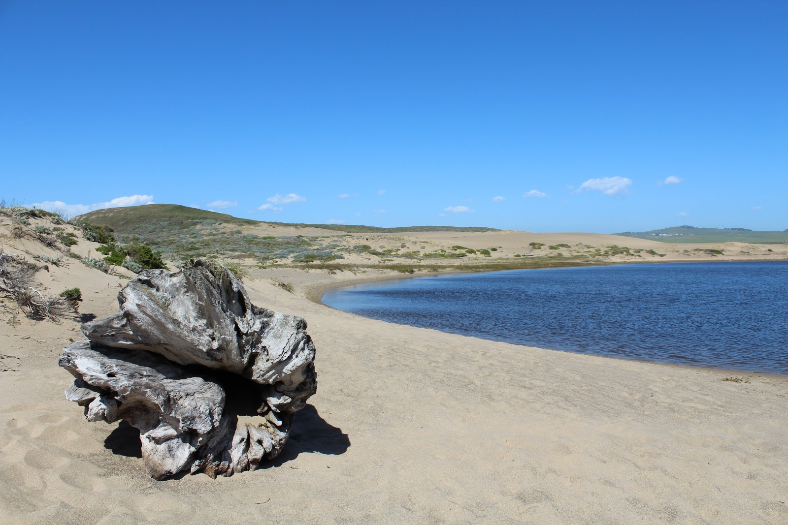 My life in Photography: Point Reyes National Seashore, California coast.