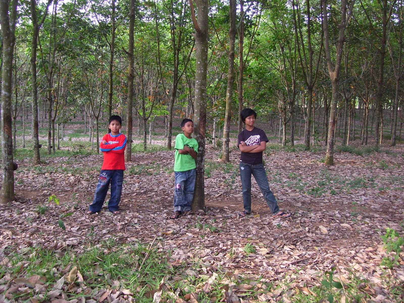 Kebun Karet Trikora, Lampung