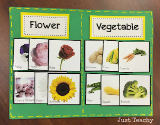 Plants | Just Teachy