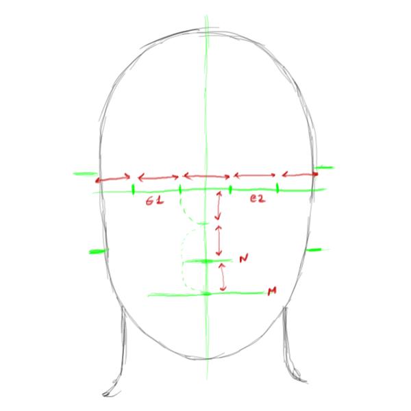 Advanced Projects in Computers: Drawing: Basic Face / Head Proportions