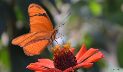 Ningún lugar está lejos... en RD: diciembre 2012