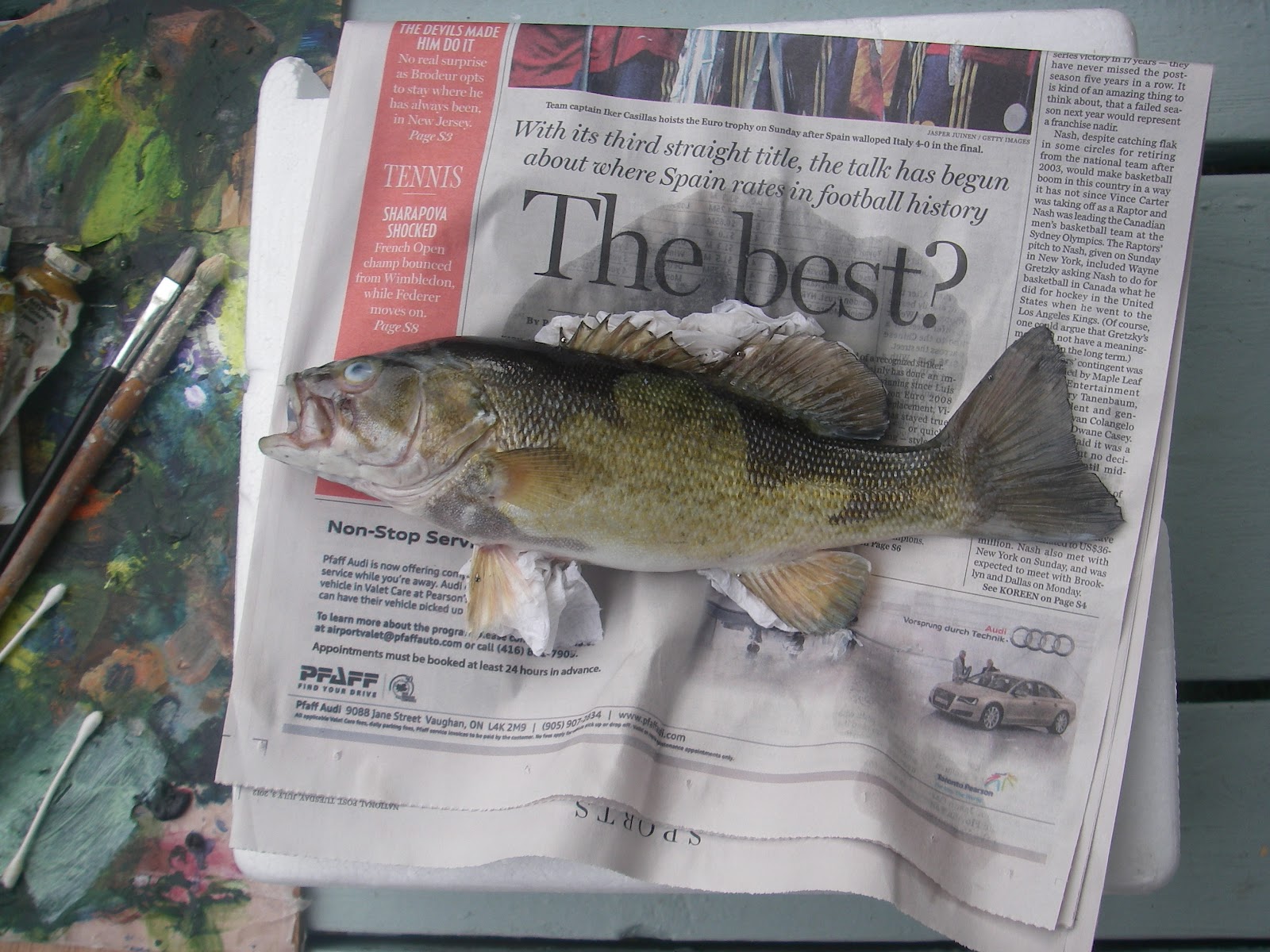 CHARLES WEISS ART: Smallmouth Bass on Rice Paper Print