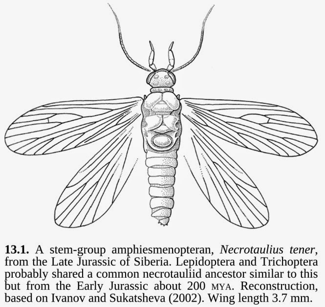 Variety of Life: Panorpoidea