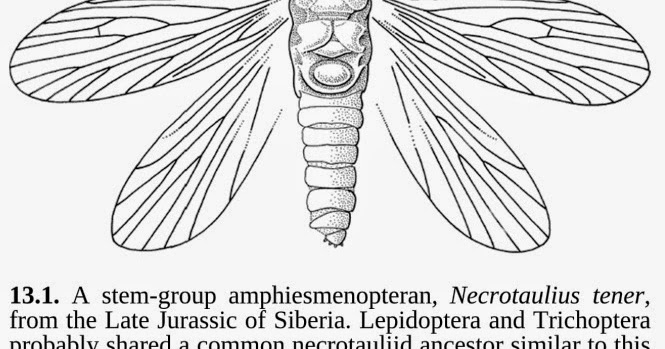 Variety of Life: Panorpoidea