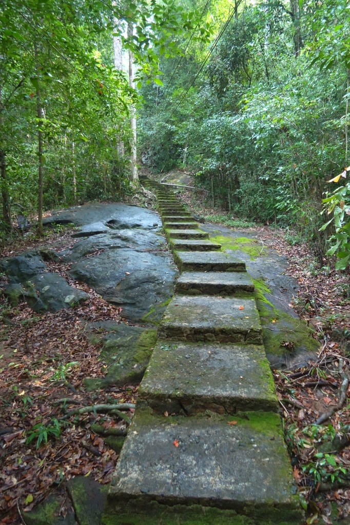 harithacharika - Travelling Nature in Sri Lanka: Dombagaskanda ...