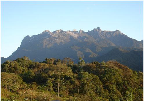 FIRE4 SPORTS AND LEISURE