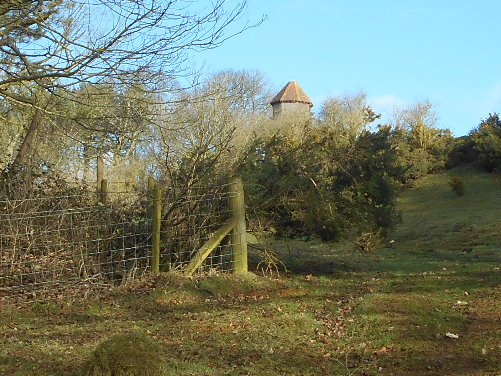 Tony's Blog: Below the windmill