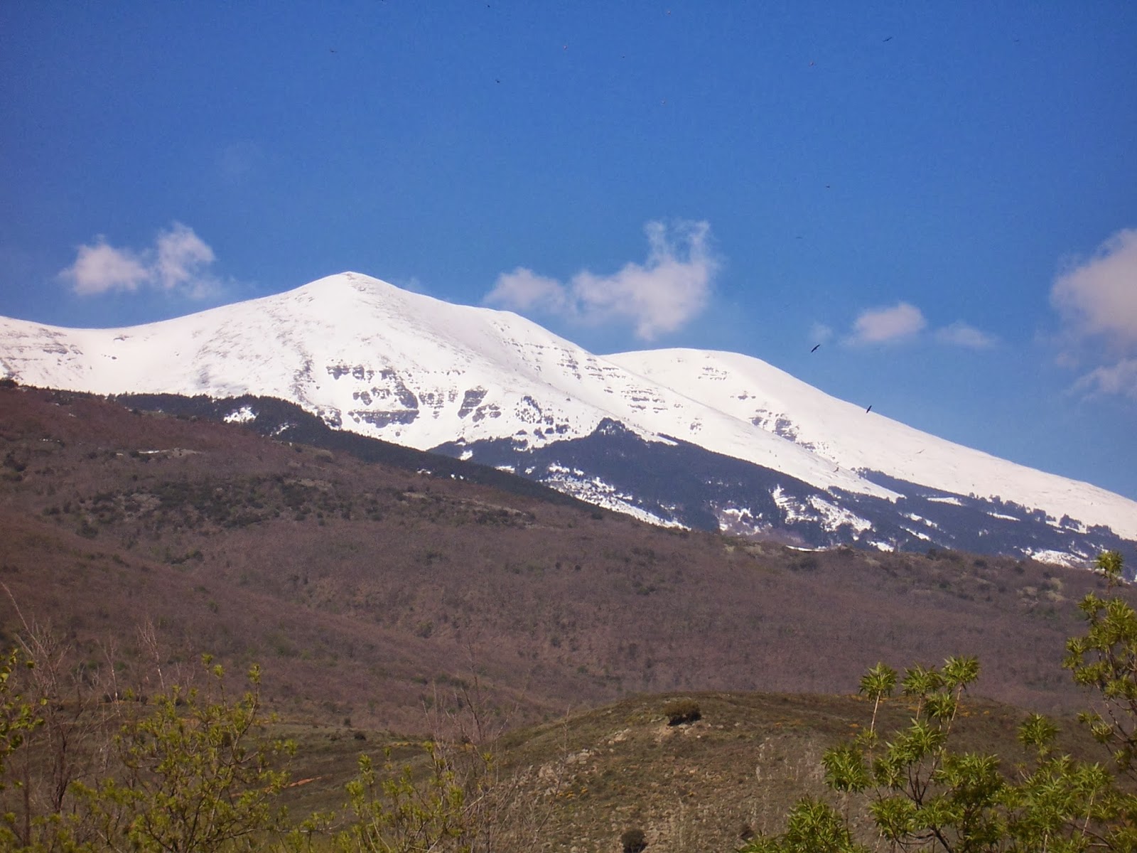 Vieja Mochila: HISTORIAS Y LEYENDAS DE TIERRAS DEL MONCAYO