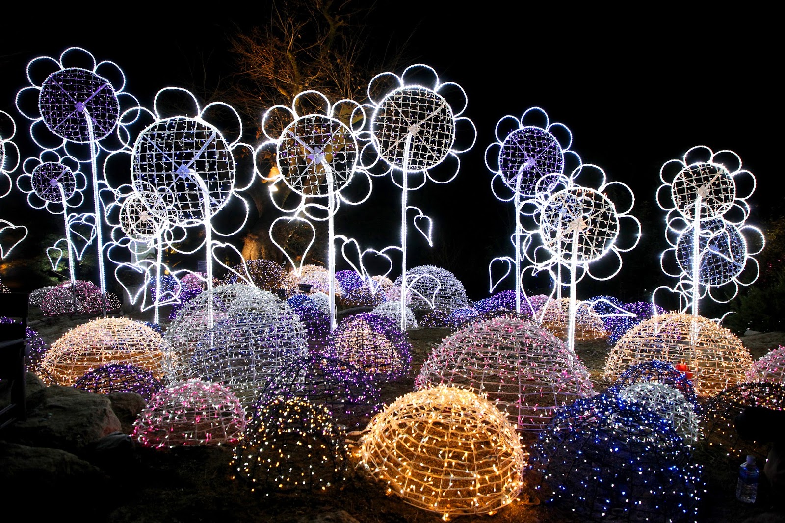 Winter Escape To Korean Hot Springs & Spas #1 :: 'Spa Valley' Hot ...