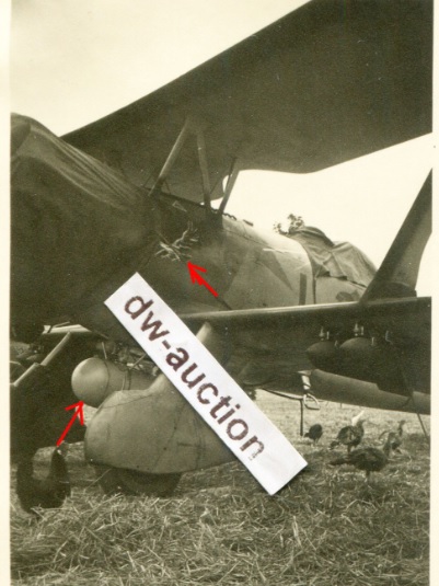 FalkeEins - the Luftwaffe blog: Henschel Hs 123 photo selection Fly ...