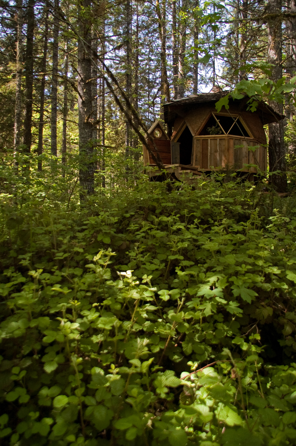 Relaxshacks.com: Zome/Dome Eye Candy- A Tiny Cabin In The Woods