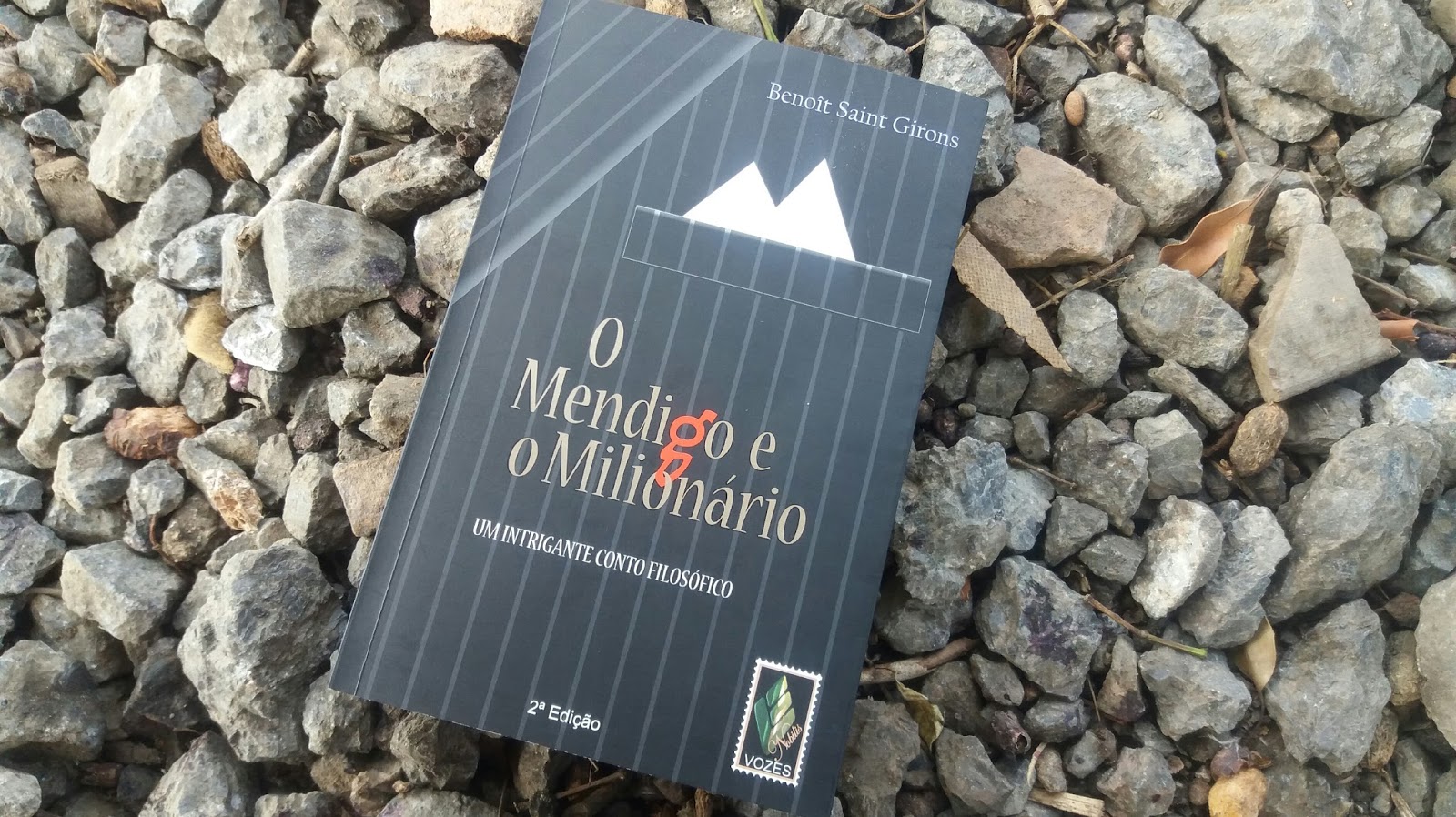 [Resenha] O Mendigo e o Milionário | Gnoma Leitora