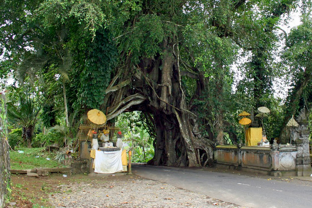 Places Of Interest: Bunut Bolong