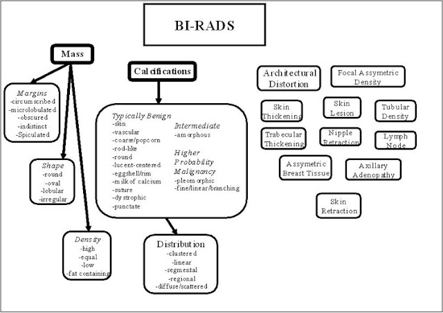 Bi RADS (Breast Imaging Reporting and Data System) | AcrossPG Blog!