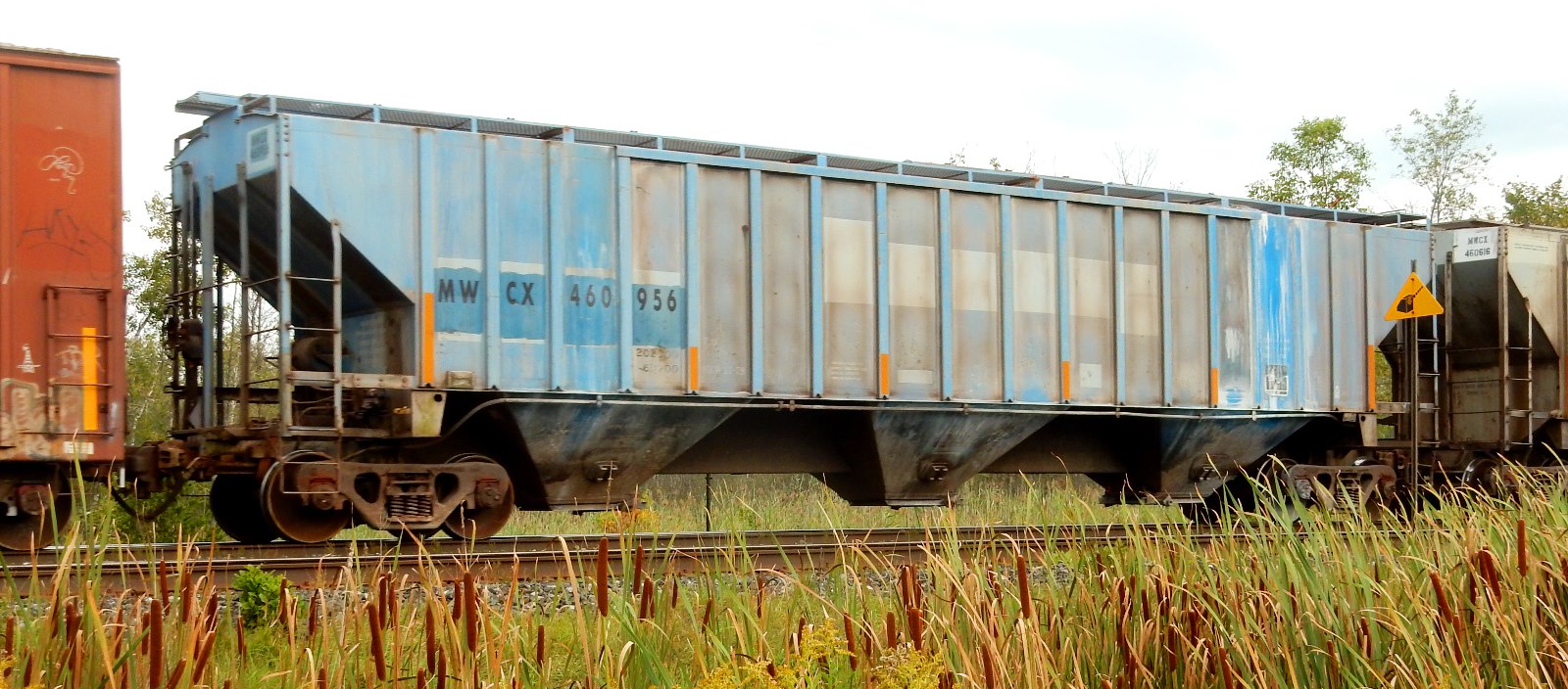 Trackside Treasure: Covered Hopper Cornucopia