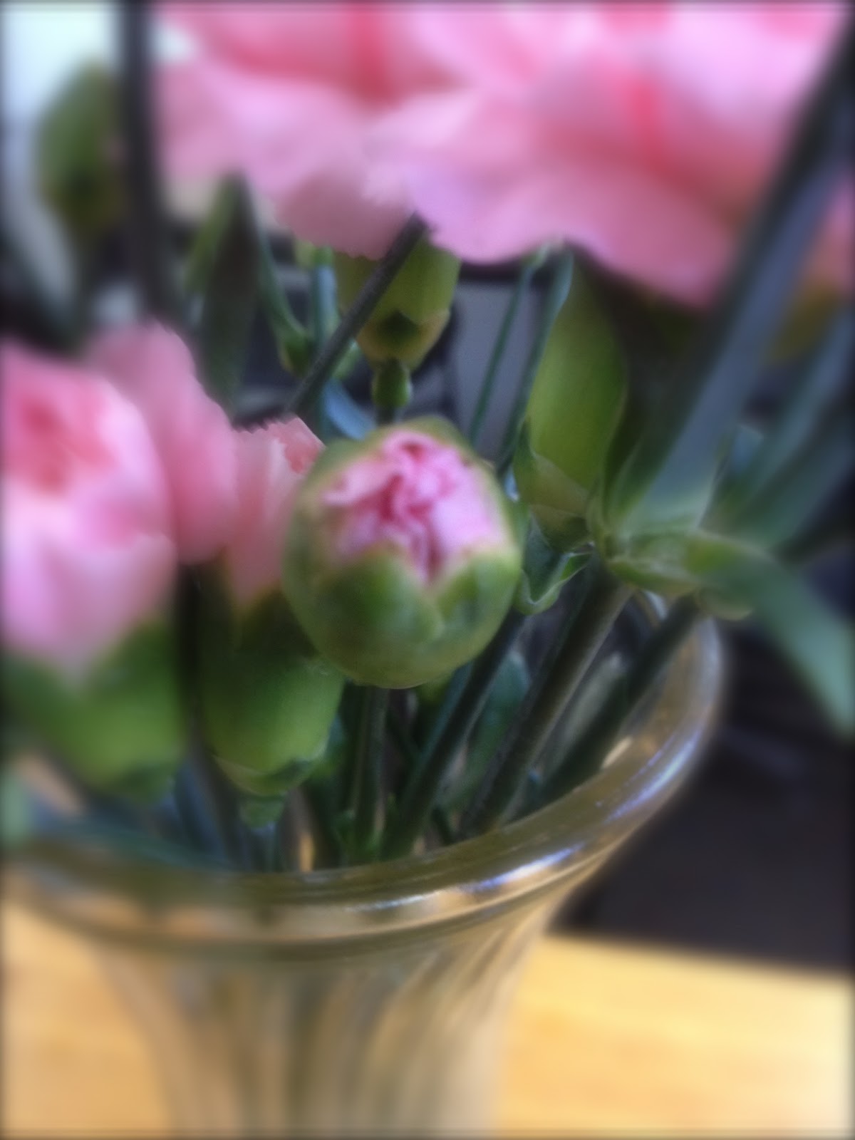 Tickled Pink Woman: Budded Blooms, Awesomeness & Philosophizing