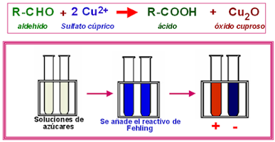CARBOHIDRATOS : REACCIONES
