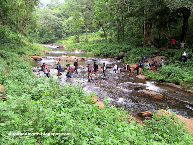 Trekking Through the Peechi-Vazhani Wildlife Sanctuary, Kerala ~ Vinod ...