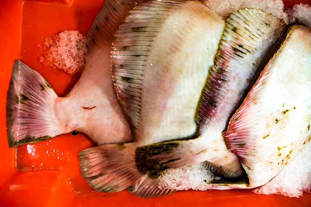 Through the Gaps! - Newlyn Fishing News: 01/01/16 - 01/02/16 Cornwall ...