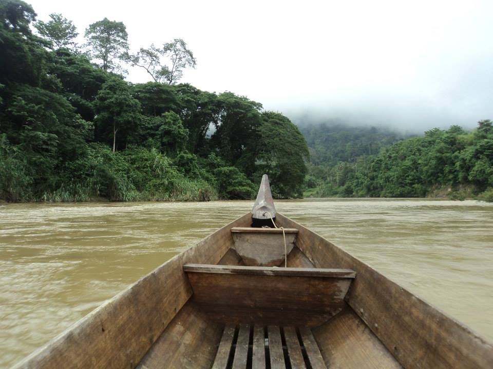 Paseo en canoa por la selva de Taman Negara - Malasia