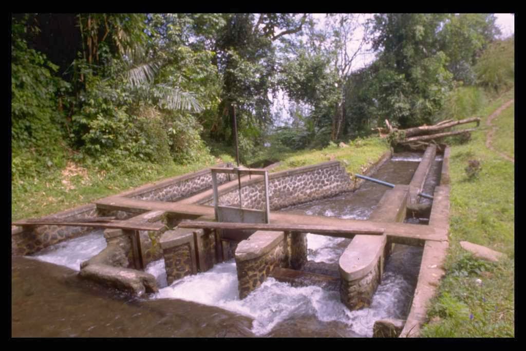 UNESCO warned Bali about Subak