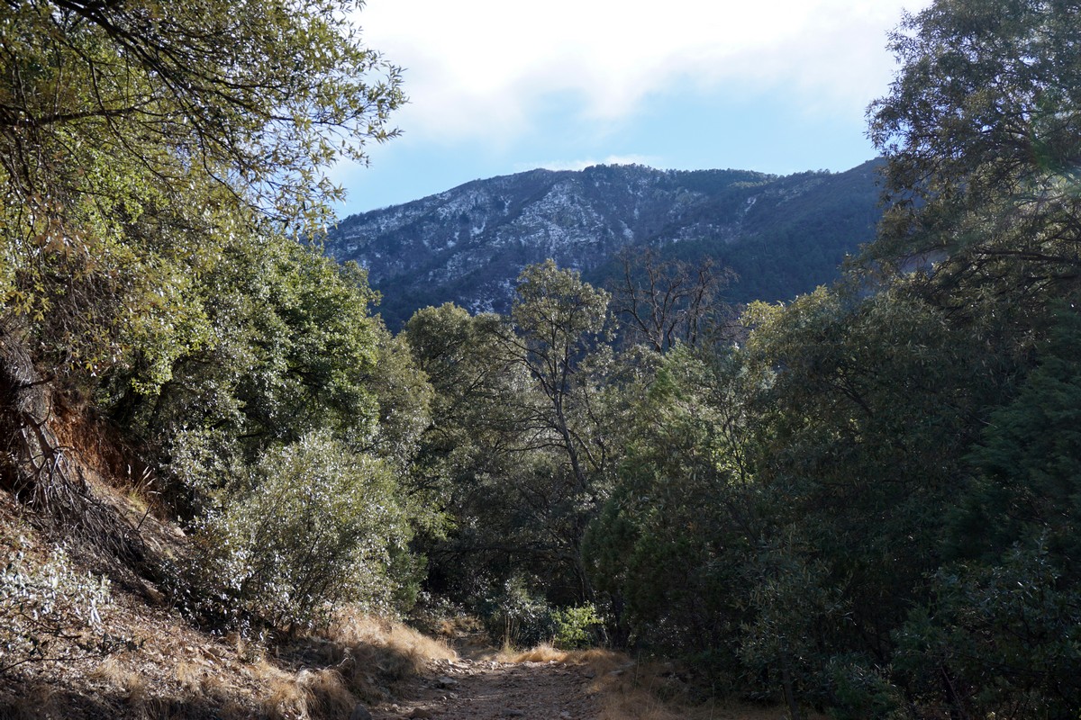 Harriman Hiker: Harriman State Park and Beyond: Madera Canyon