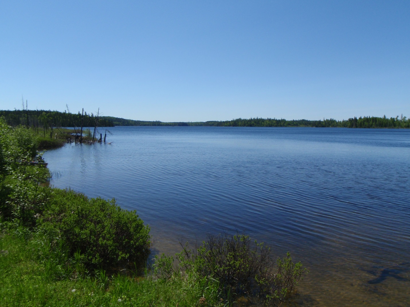 From Reefs to Rivers: Florida's Fisheries Science Blog: What’s in a ...